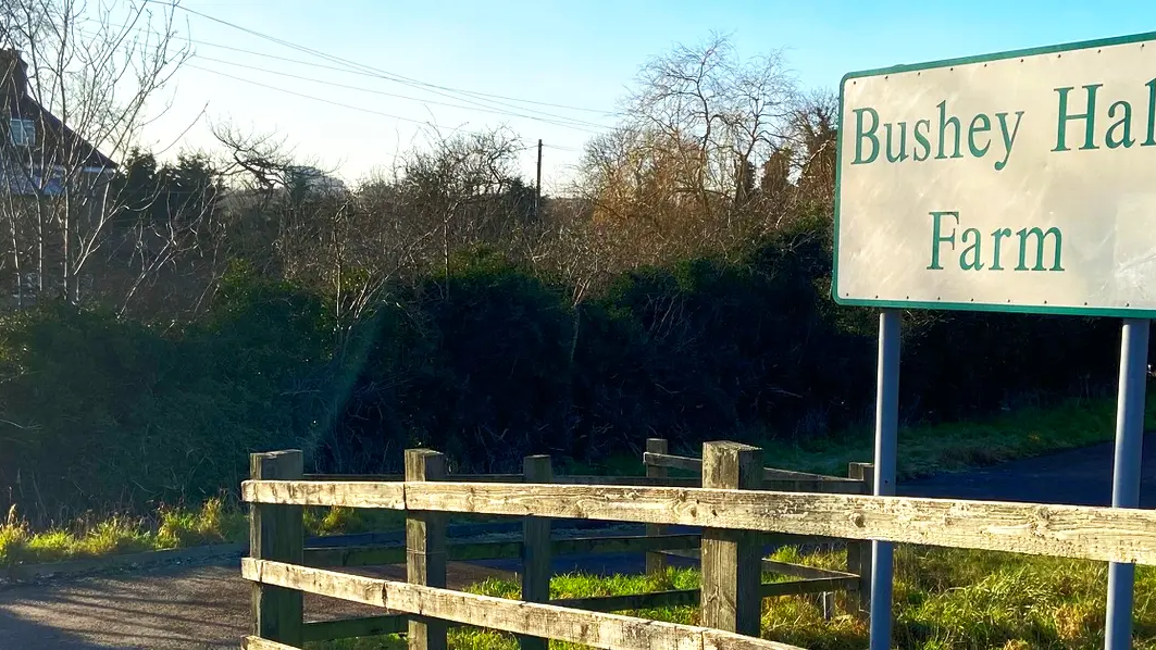 Taking action on the problems at Bushey Hall Farm - Hertsmere Liberal ...